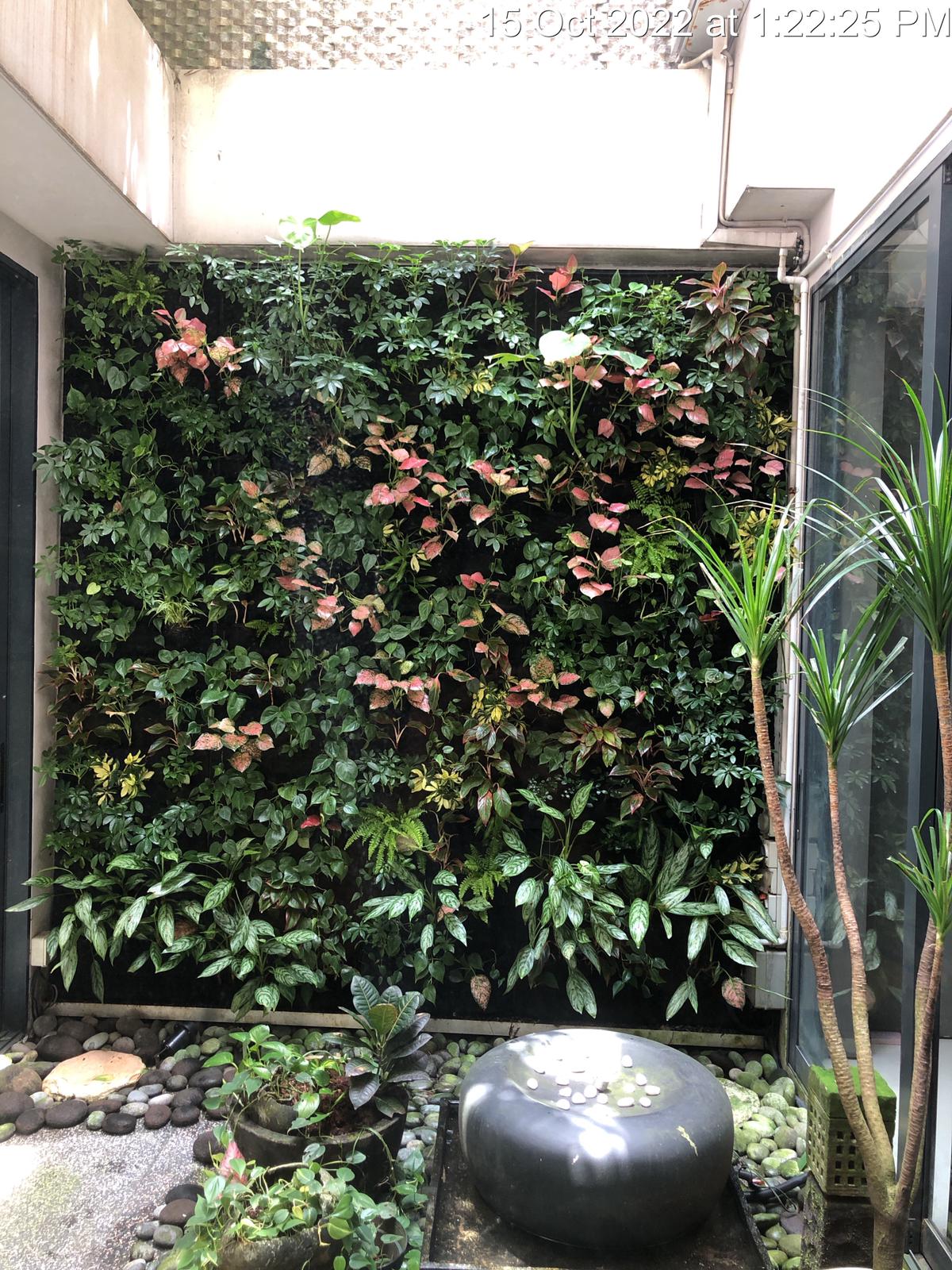 Green wall maintenance | Hobson Landscape services