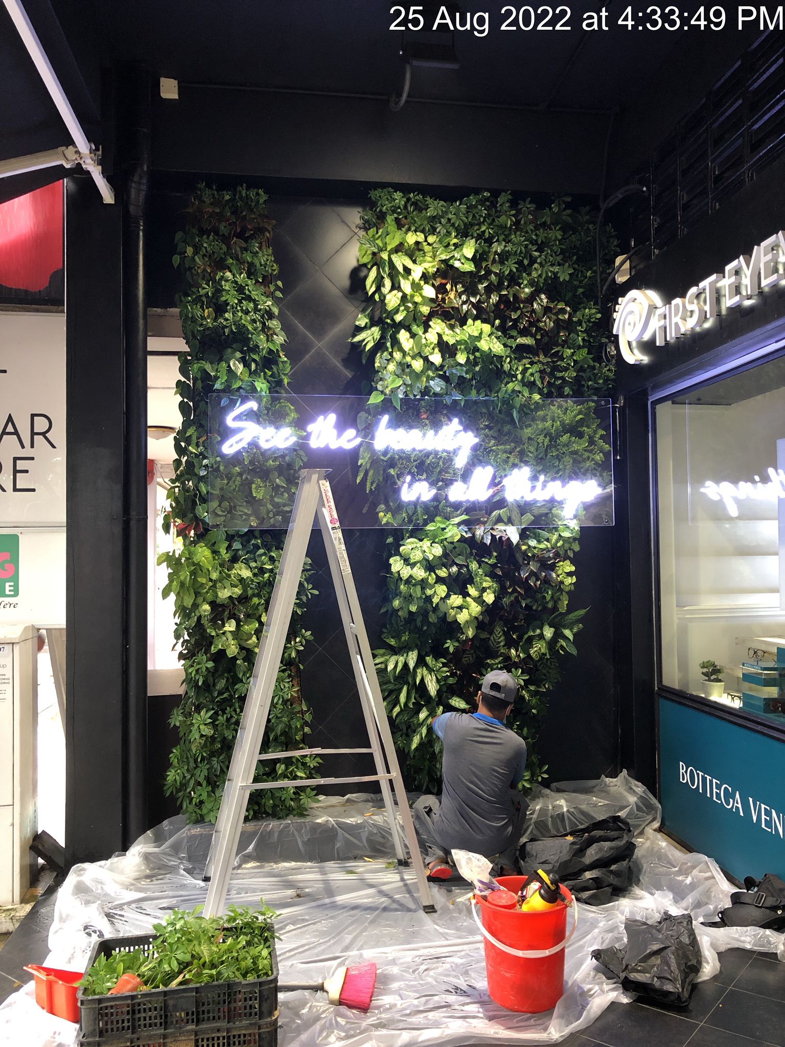 Green wall maintenance | Hobson Landscape services