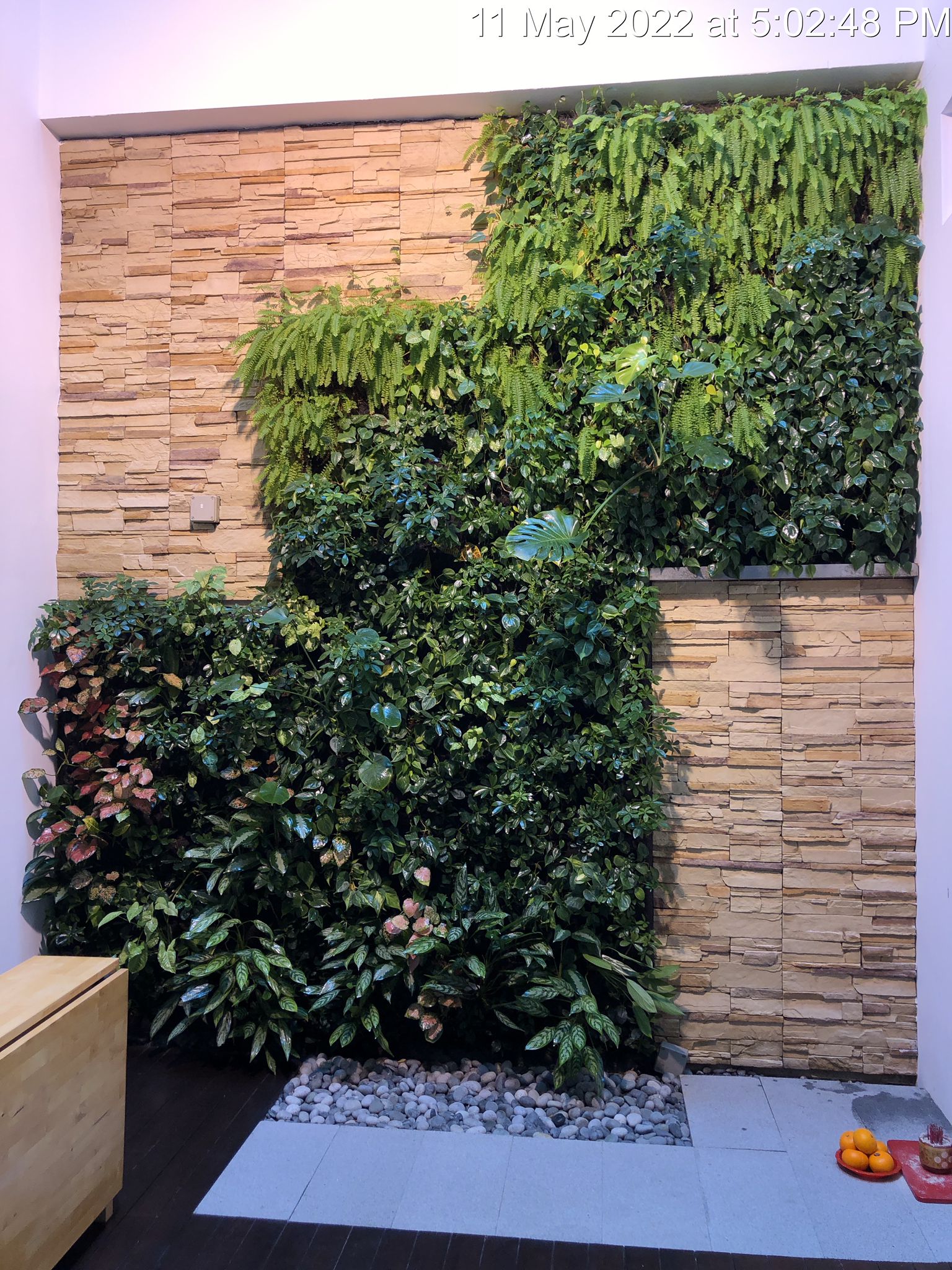 Green wall maintenance | Hobson Landscape services