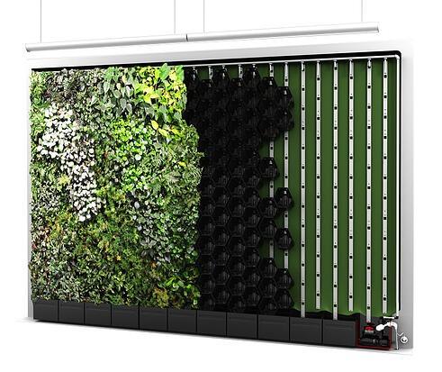 Green wall maintenance | Hobson Landscape services